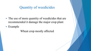 Harmful effects of weedicide | PPTX