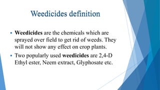 Harmful effects of weedicide | PPTX