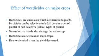 Harmful effects of weedicide | PPTX