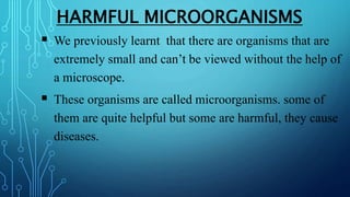 Harmful Micro-organisms | PPT