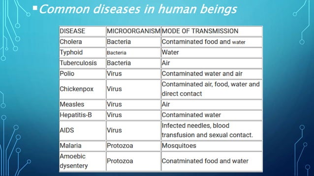 Harmful Micro-organisms | PPTX | Infectious Diseases | Diseases and ...