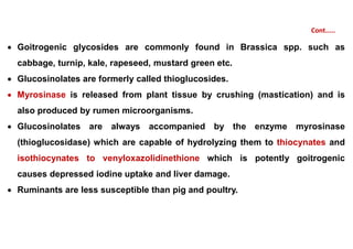 Harmful natural constituents and common adulterants | PDF