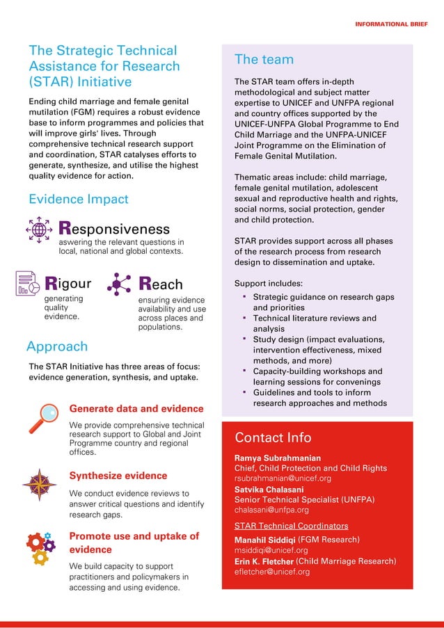 Harmful Practices - Project Brief | PDF