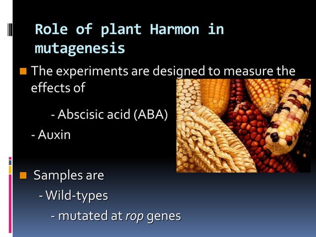 Harmonal mutagenesis in plant | PPT