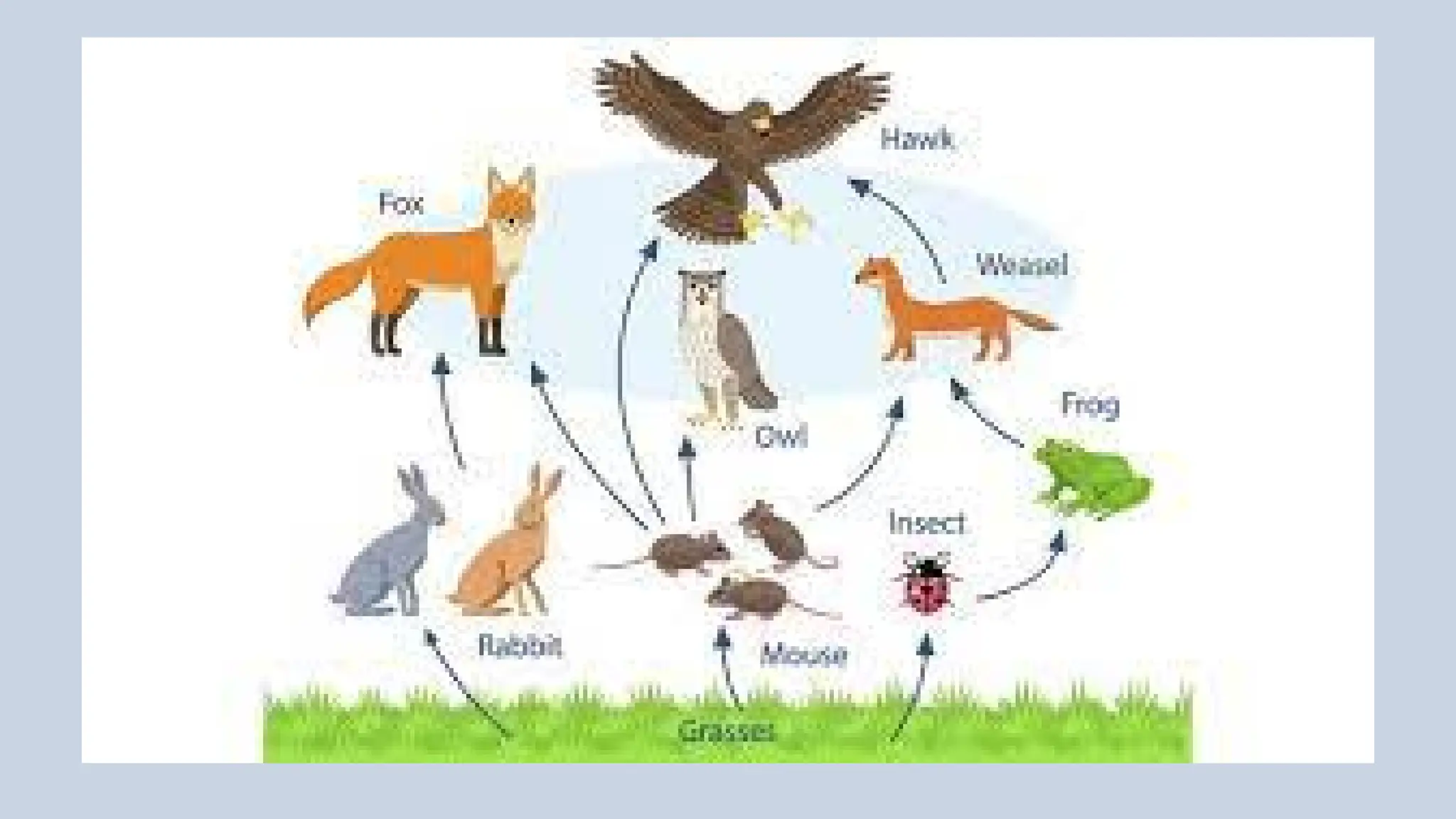 HARMONI DALAM EKOSISTEM KELAS V SEKOLAH DASAR.pdf