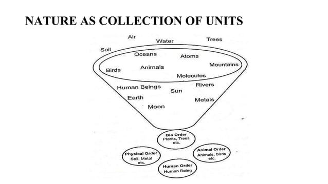 HARMONY IN THE NATURE AND EXISTENCE - Unit-IV | PPTX | Geology | Science