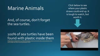 Harm presentation | PPTX