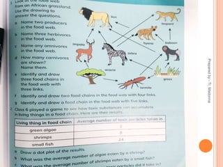harms to food chains and food webs.pptx for grade 6 | PPTX
