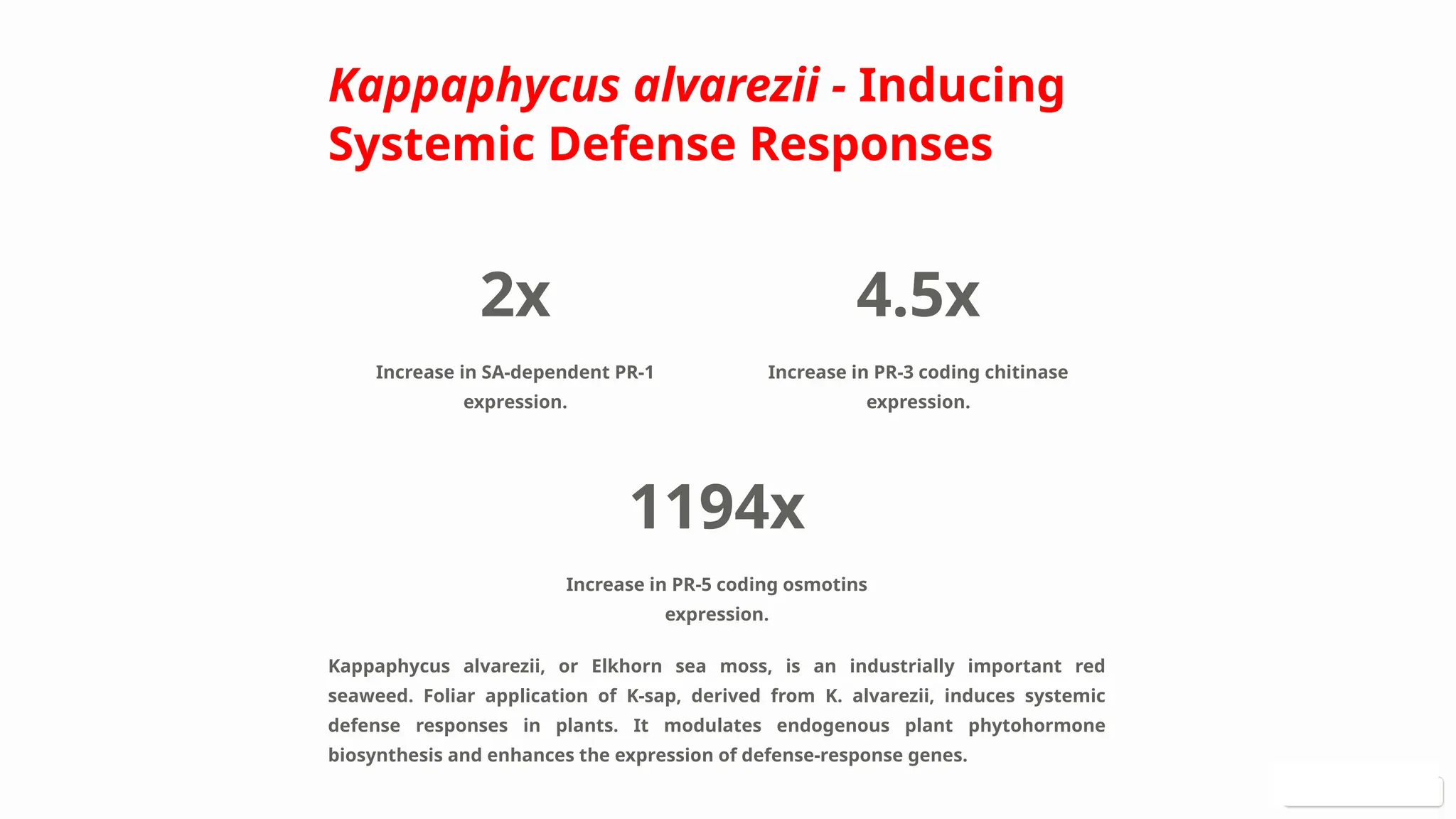 Harnessing Seaweed Extracts for Plant Immunity.pptx