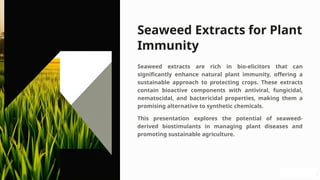 Harnessing Seaweed Extracts for Plant Immunity.pptx