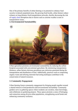 Urban Farming: 3 Benefits, Challenges & The Rise of Green Cities | CIO ...