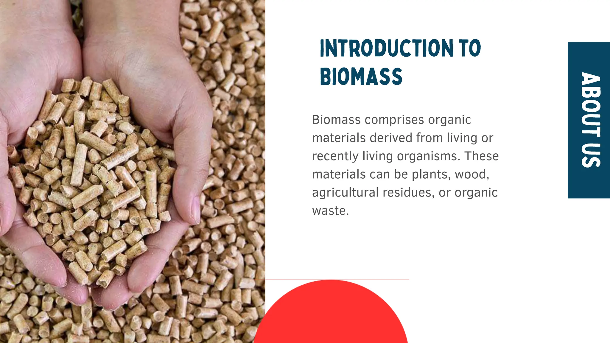 Harnessing Nature's Power Biomass Wood Pellets.pptx