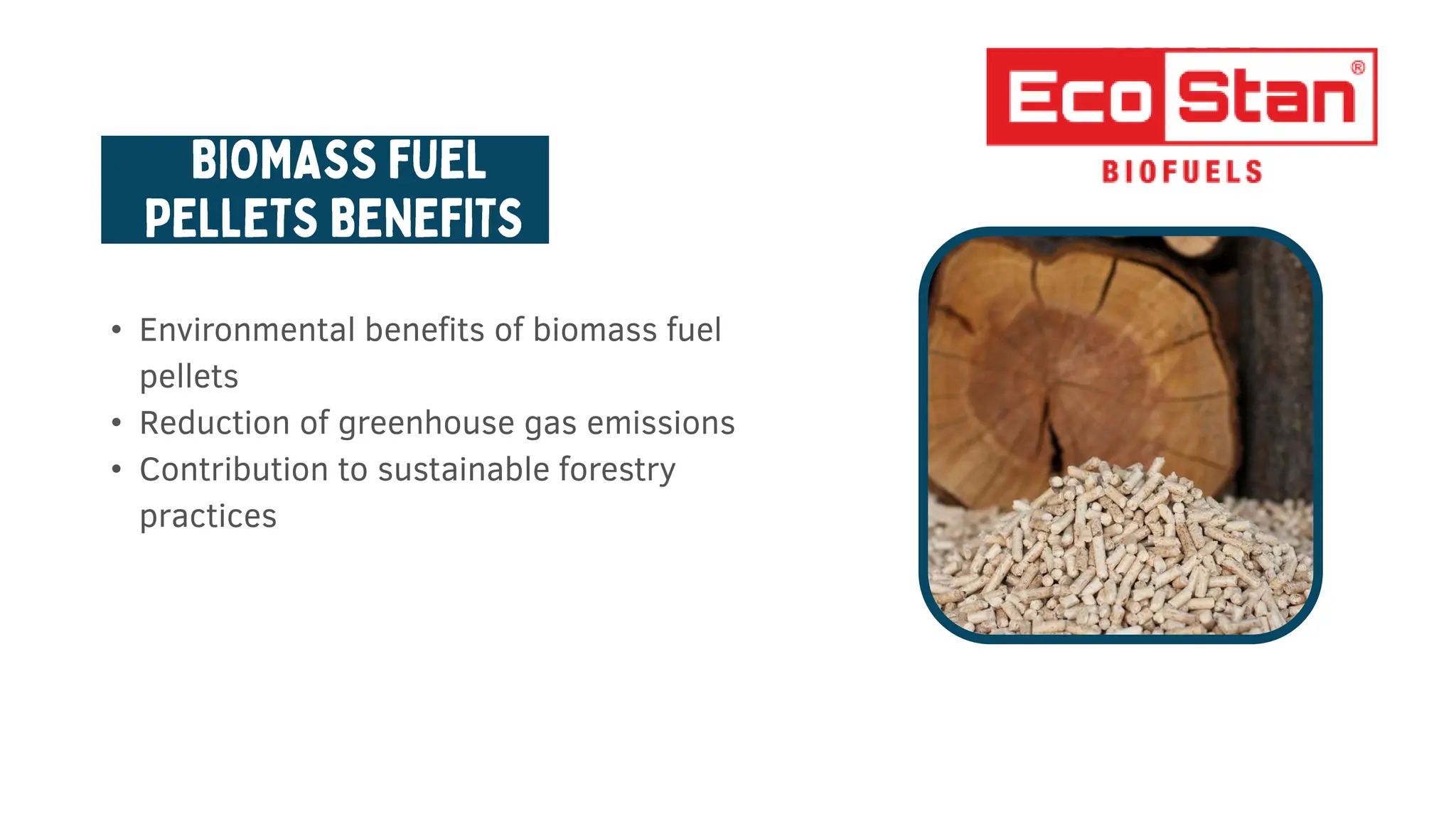 Harnessing Nature's Power Biomass Wood Pellets.pptx