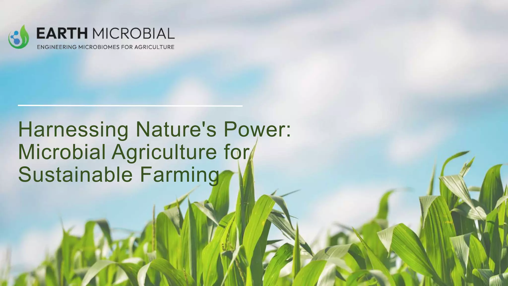 Harnessing Nature's Power Microbial Agriculture for Sustainable Farming ...