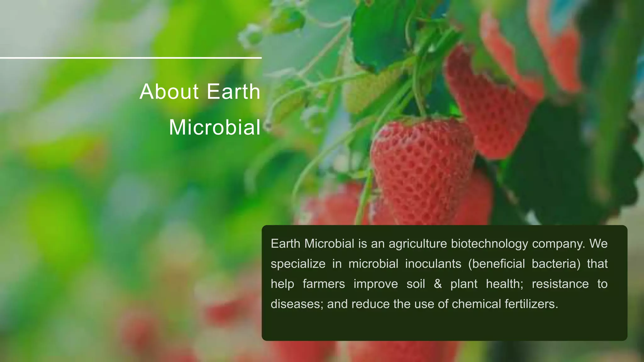 Harnessing Nature's Power Microbial Agriculture for Sustainable Farming ...