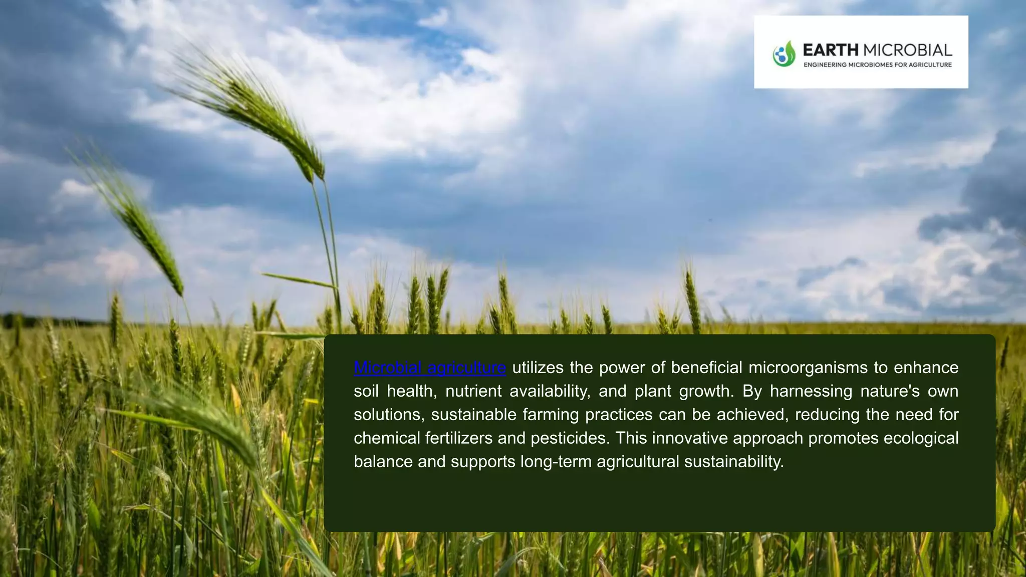 Harnessing Nature's Power Microbial Agriculture for Sustainable Farming ...
