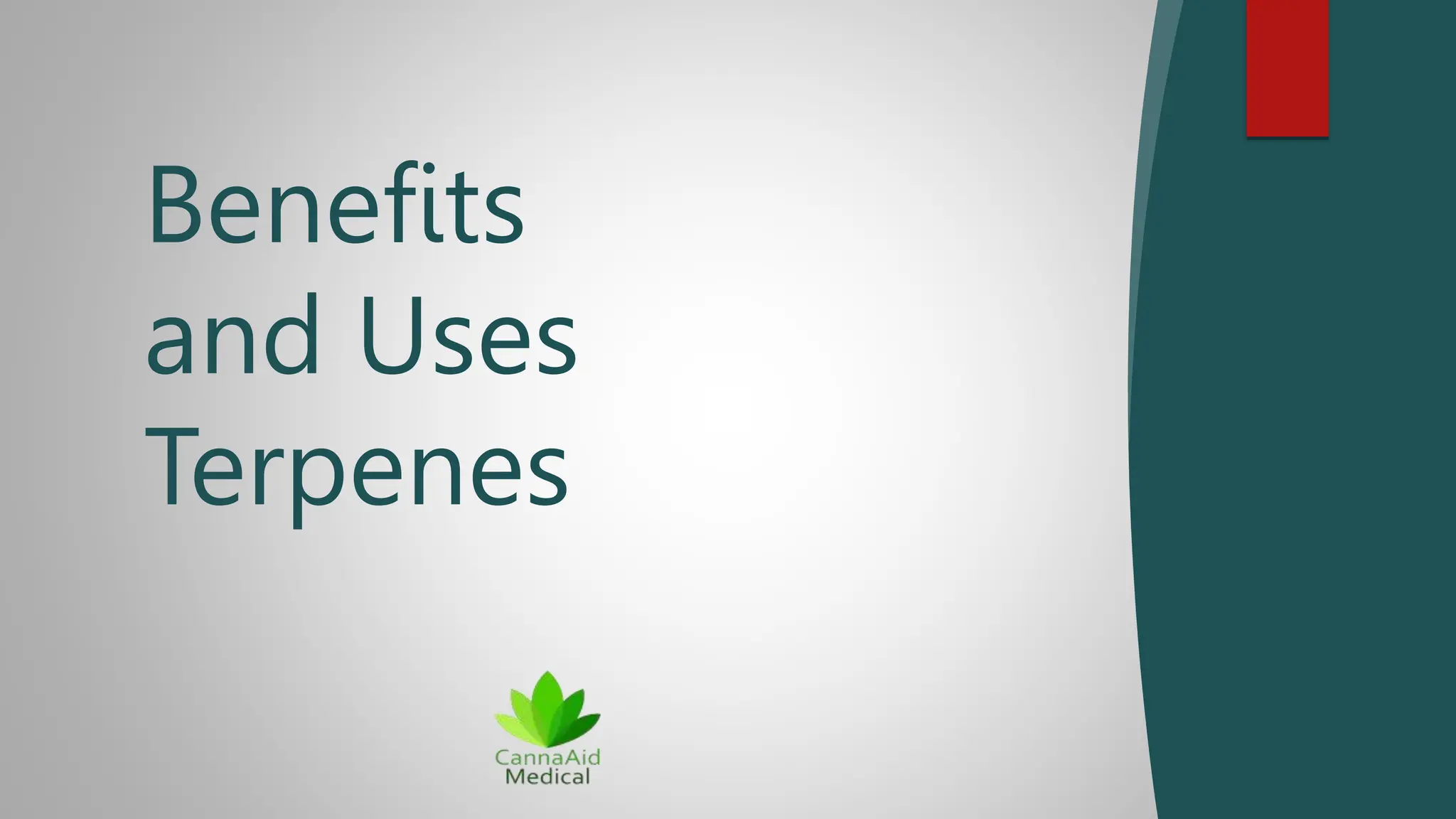 Harnessing The Magic of Cannabis Terpenes | PPTX