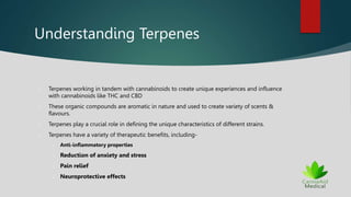 Harnessing The Magic of Cannabis Terpenes | PPTX
