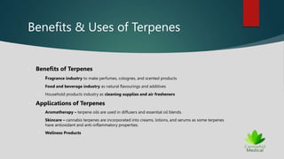 Harnessing The Magic of Cannabis Terpenes | PPTX