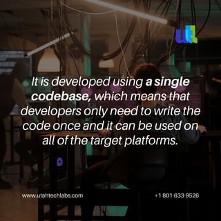 Harnessing the Power of Cross-Platform Software for Business Success | PDF