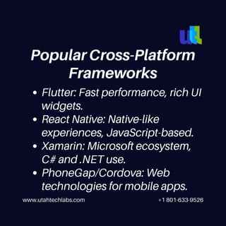 Harnessing the Power of Cross-Platform Software for Business Success | PDF