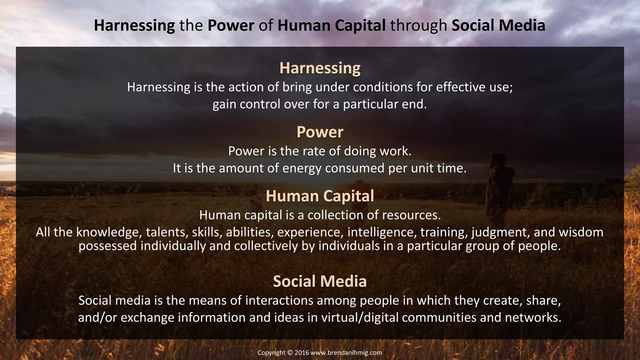 Harnessing the power of human capital through social media | PPSX