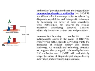 Harnessing the Power of Immunohistochemistry Antibodies in IHC-PRS ...
