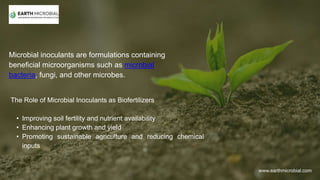 Harnessing the Power of Microbial Inoculants as Biofertilizers.pptx