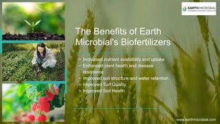 Harnessing the Power of Microbial Inoculants as Biofertilizers.pptx
