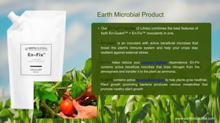 Harnessing the Power of Microbial Inoculants as Biofertilizers.pptx
