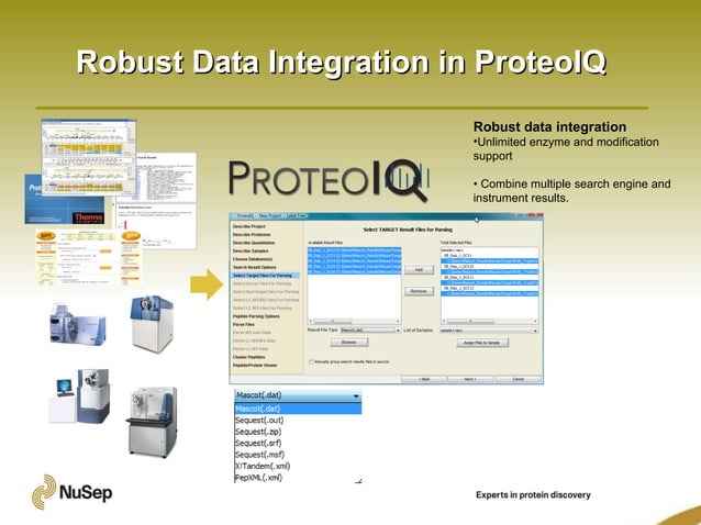 Harnessing The Proteome With Proteo Iq Quantitative Proteomics Softwa…