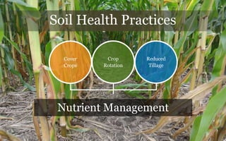 Harnessing the value of soil health for multiple stakeholders | PPT