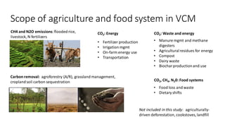 Harnessing VCMs for Agricultural Finance and Transitions - global ...