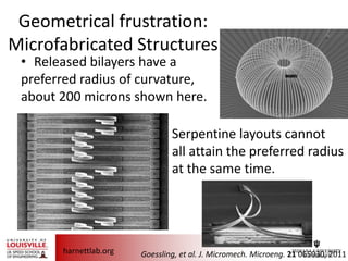 Digital origami from geometrically frustrated tiles | PPTX