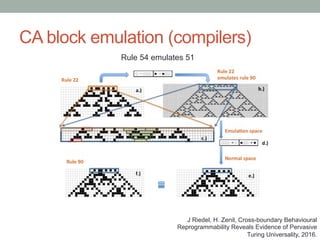 Algorithmic Dynamics of Cellular Automata | PPT