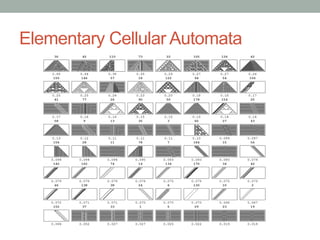 Algorithmic Dynamics of Cellular Automata | PPT