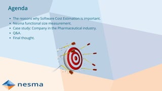 Harold van Heeringen - Nesma FP in Cost Estimation.pdf