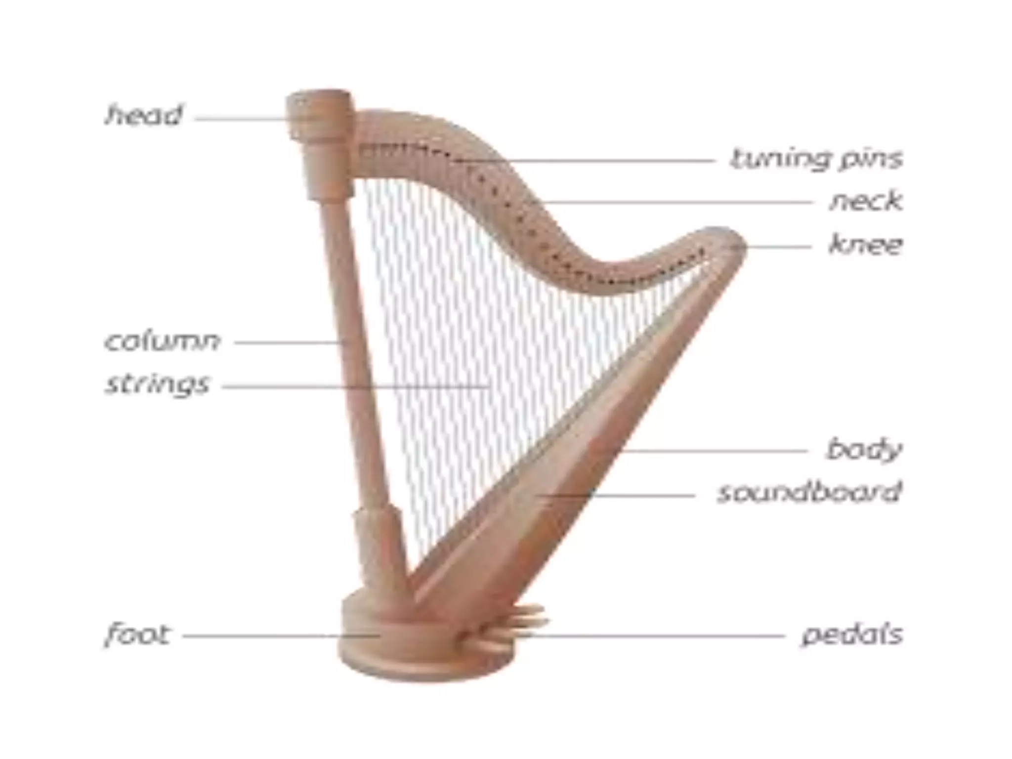 Harp | PPTX