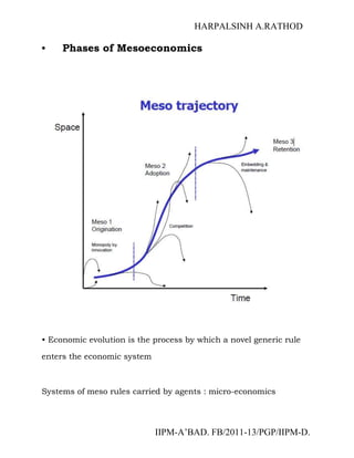meso economics | DOCX