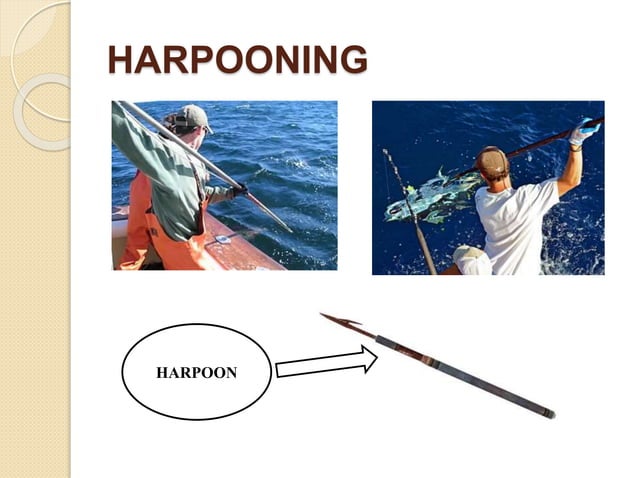 Harpoon fishing method | PPTX
