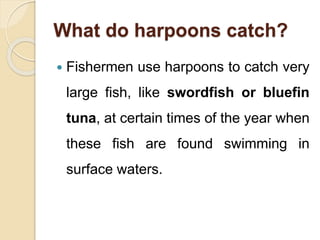 Harpoon fishing method | PPTX
