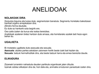 Harrak | PPT