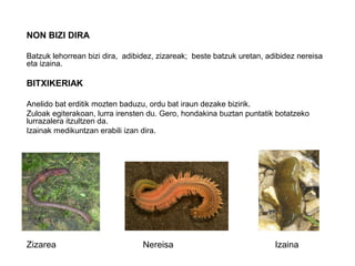 Harrak | PPT