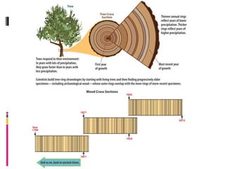 Harrapan civilization or indus valley civilization origin, extension ...