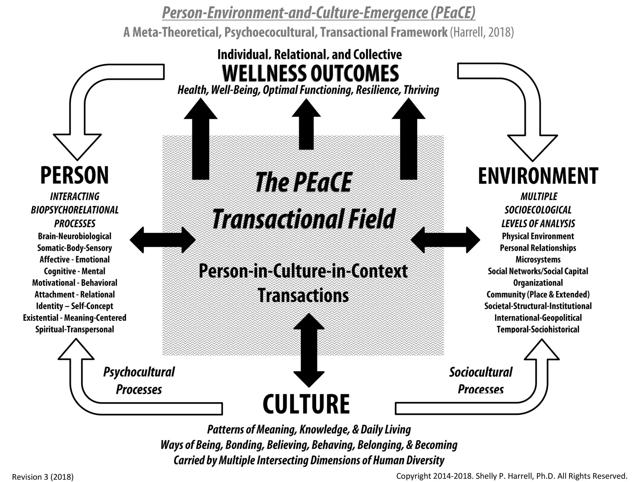 Harrell - PEaCE Person Environment Culture Transactional Framework 2018 ...