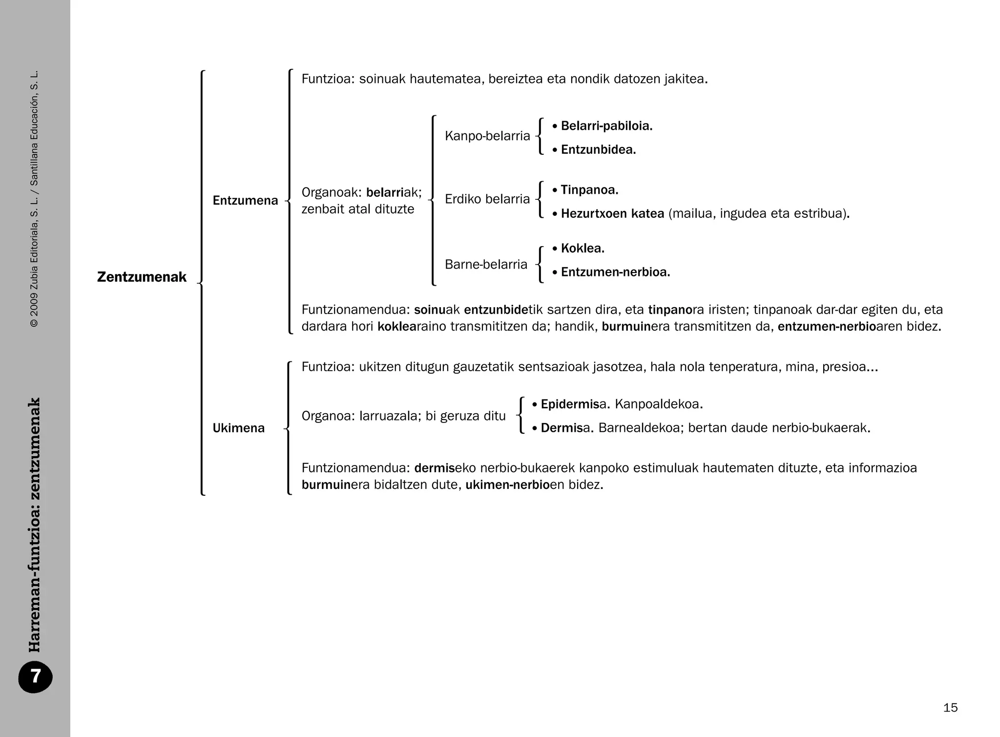 Harreman funtzioa eskema | PDF