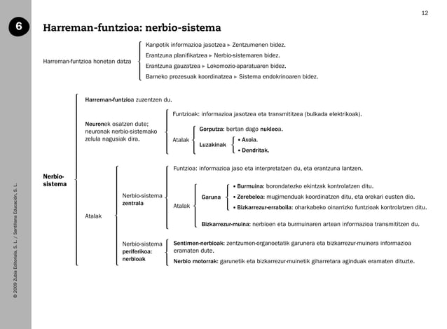 Harreman funtzioa eskema | PDF