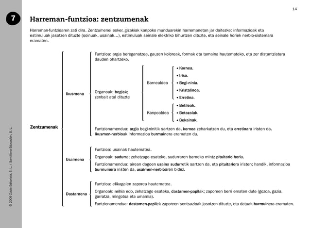 Harreman funtzioa eskema | PDF