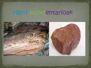 Harri sedimentarioak | PPT
