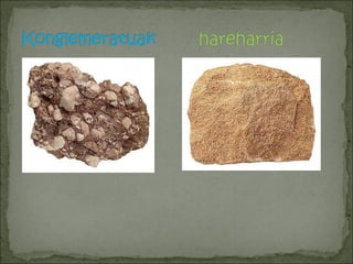 Harri sedimentarioak | PPT